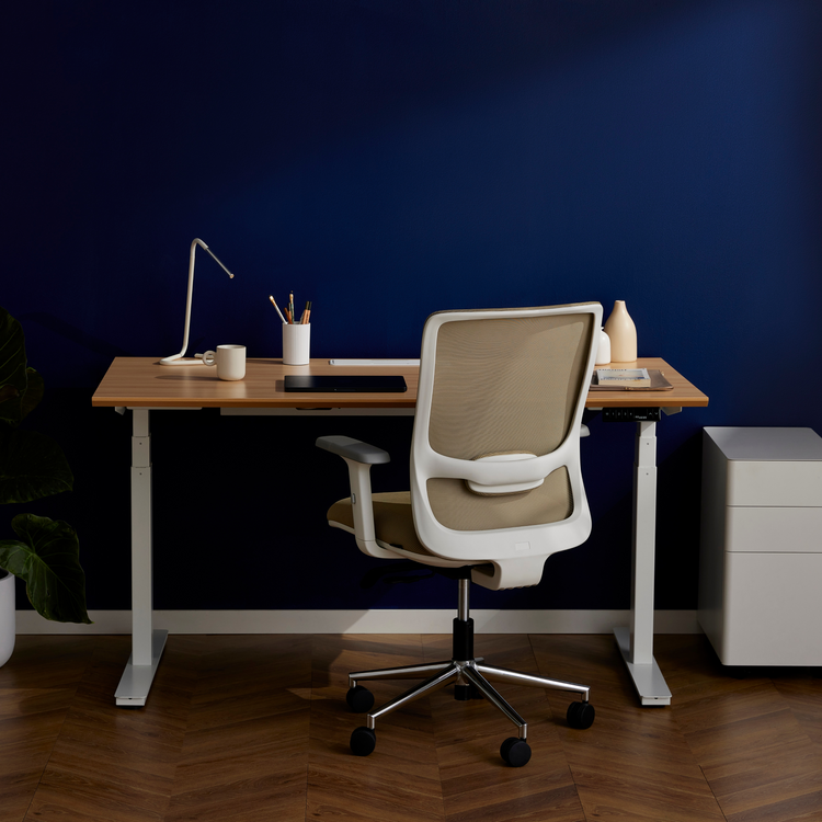 Ergo Bundle - Ergo Chair and Stand Up Desk